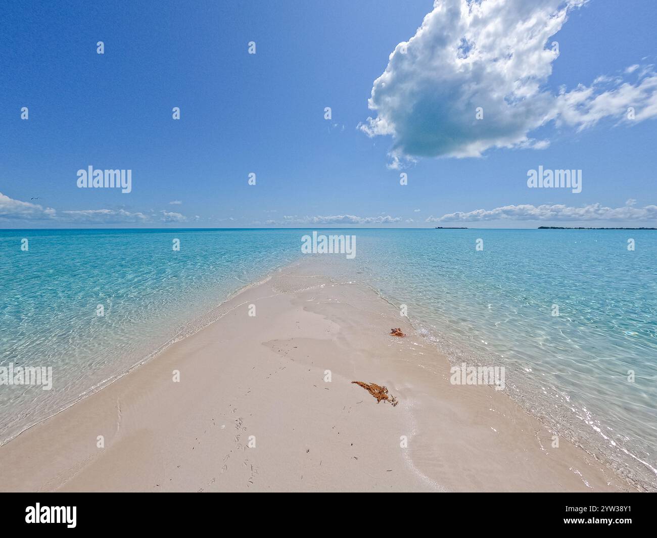 White sand bar hi-res stock photography and images - Alamy