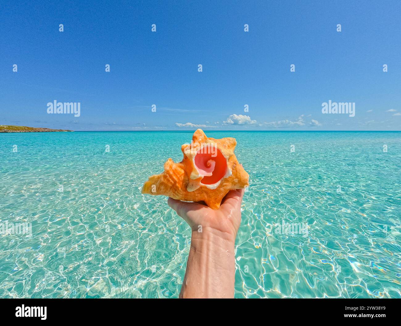 Conch Shell in Hand With Ocean Background Stock Photo - Alamy