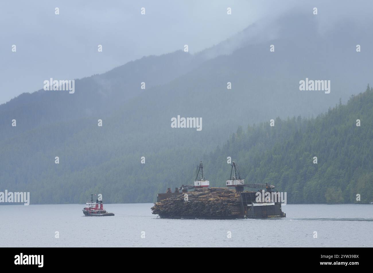 Tug boat with barge loaded with logs, Inside Passage, British Columbia ...