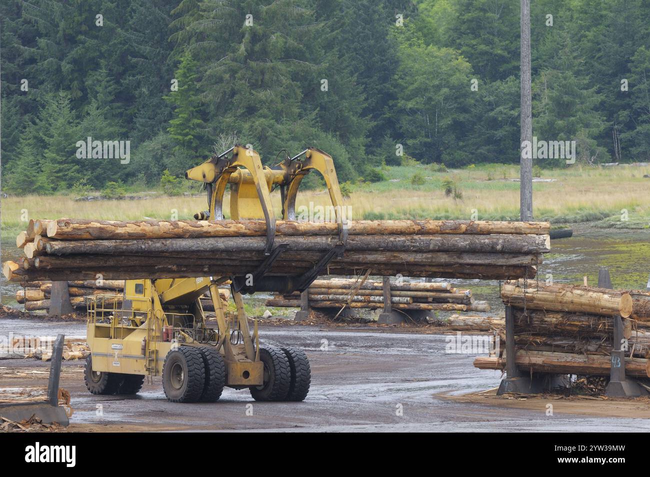 Lumber mill log storage with logging equipment, Telegraph Cove ...
