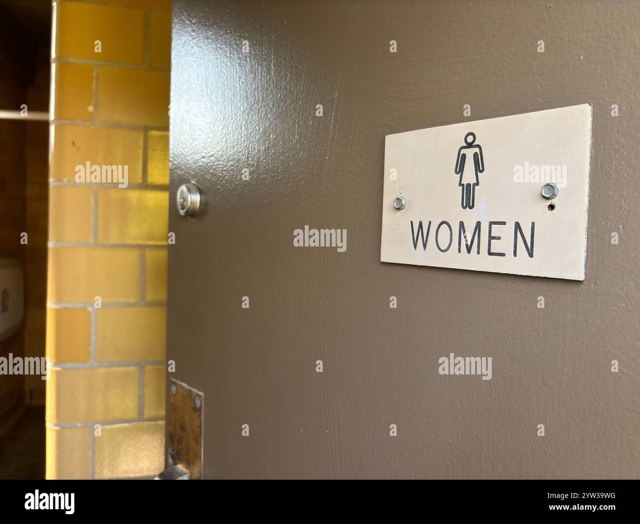 Brown vintage women's restroom door with female pictogram Stock Photo ...