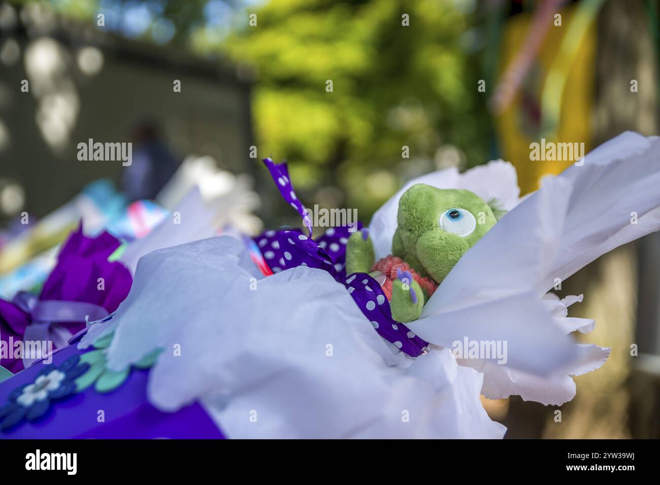 Gift, school enrolment, school cone, soft toy, turtle, Bruehl, North ...