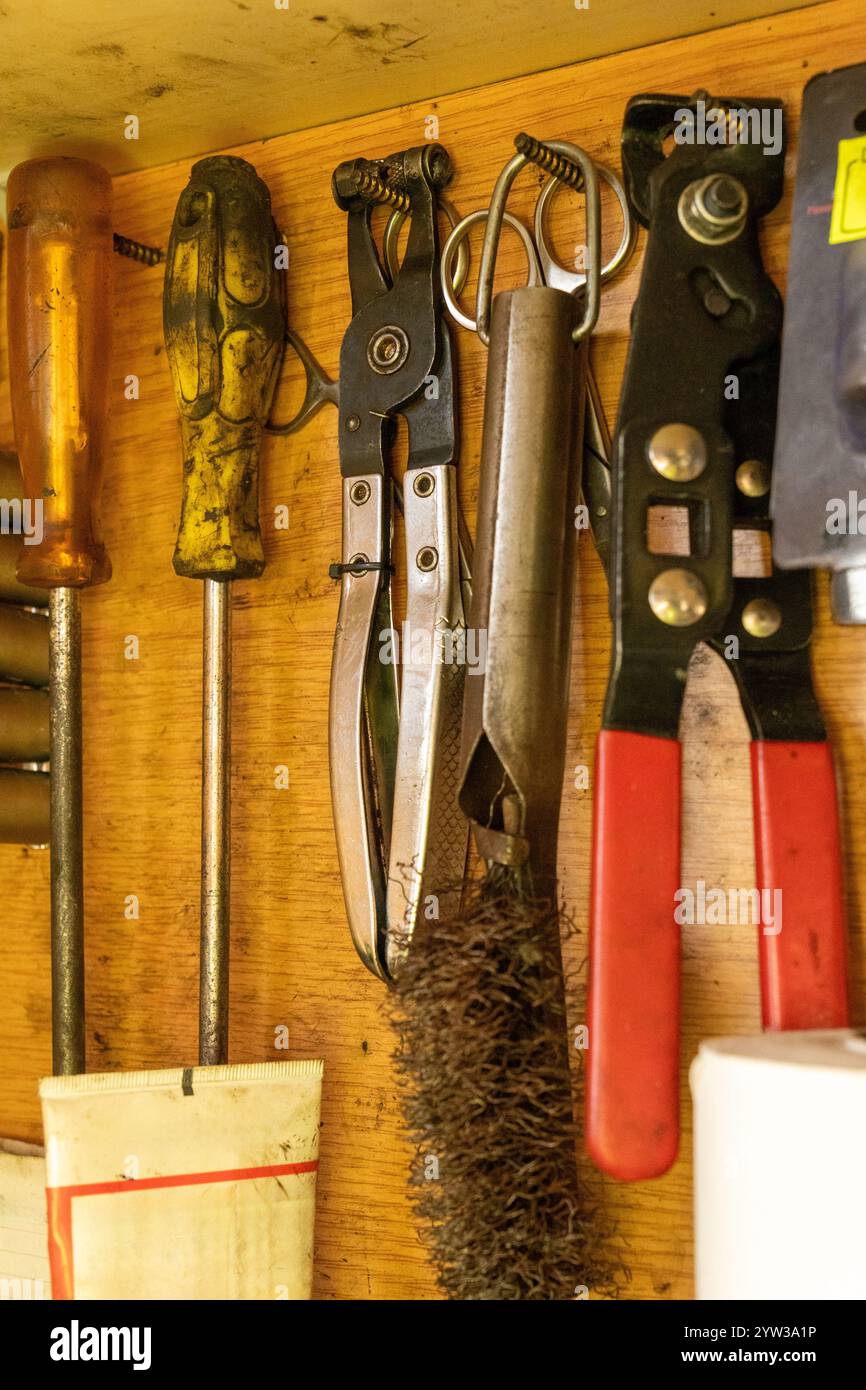 Well organized workspace displays hi-res stock photography and images ...