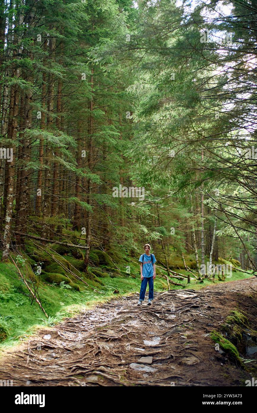 A teenager stands on a forest trail surrounded by tall pine trees ...