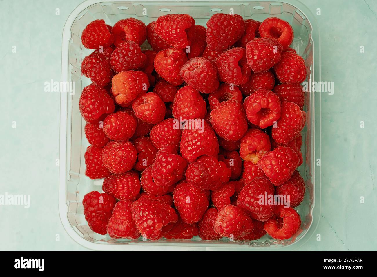 Fresh raspberries in a plastic container on a pastel blue background ...