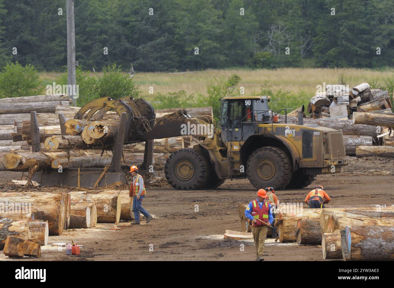 Lumber mill log storage with logging equipment, Telegraph Cove ...