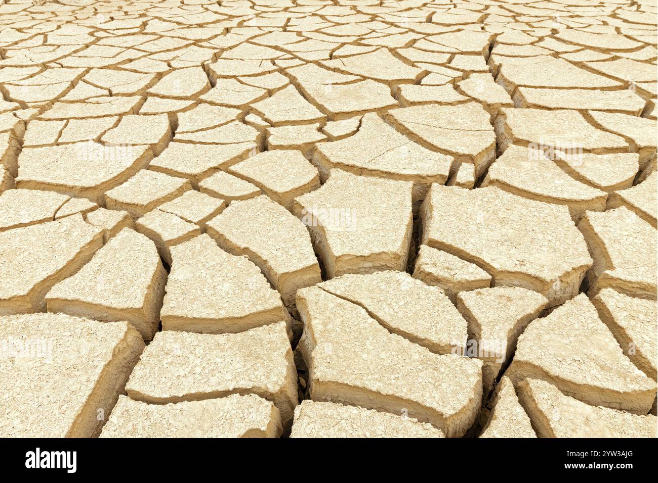 Dry soil in Israel, Middle East, parched soil, cracks Israel Stock ...