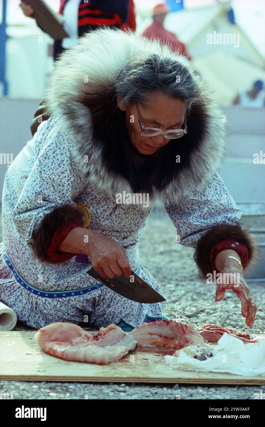 Inuit woman filleting fish, Eskimo Olympics, Inuvik, Canada, North ...