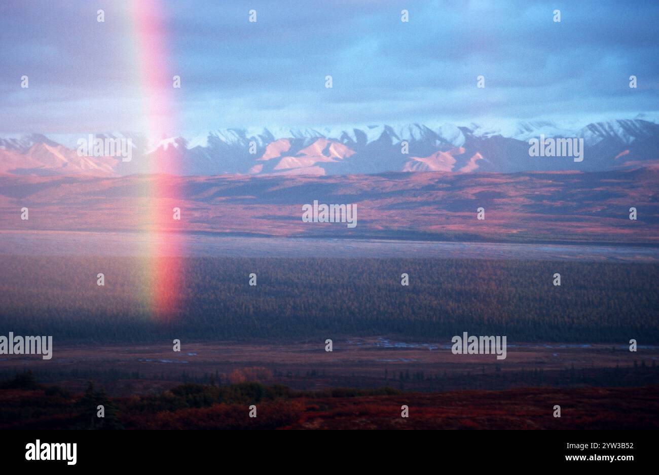 Rainbow over the valley of Mc Kinley River, Denali national park ...