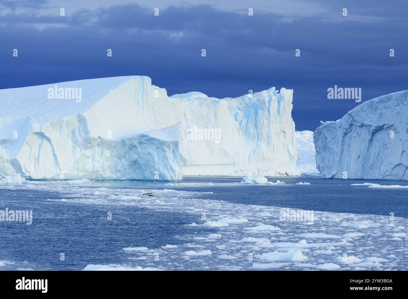 Iseberg and drift ice, mouth Kangia Icefjord and Disko Bay, Westcoast ...