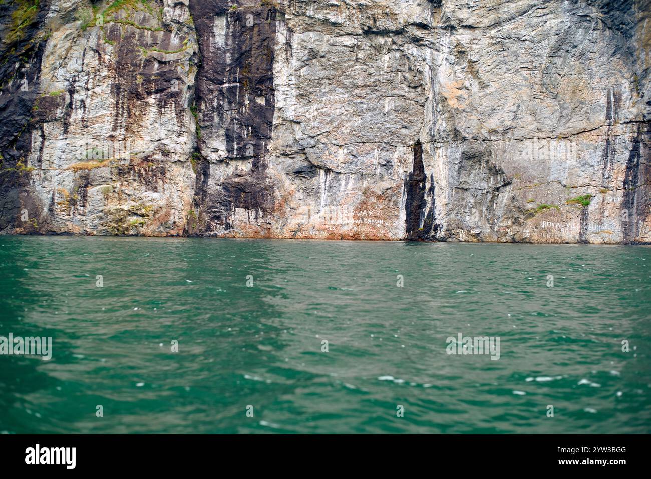 Green ocean water at the base of a towering cliff with rugged textures ...
