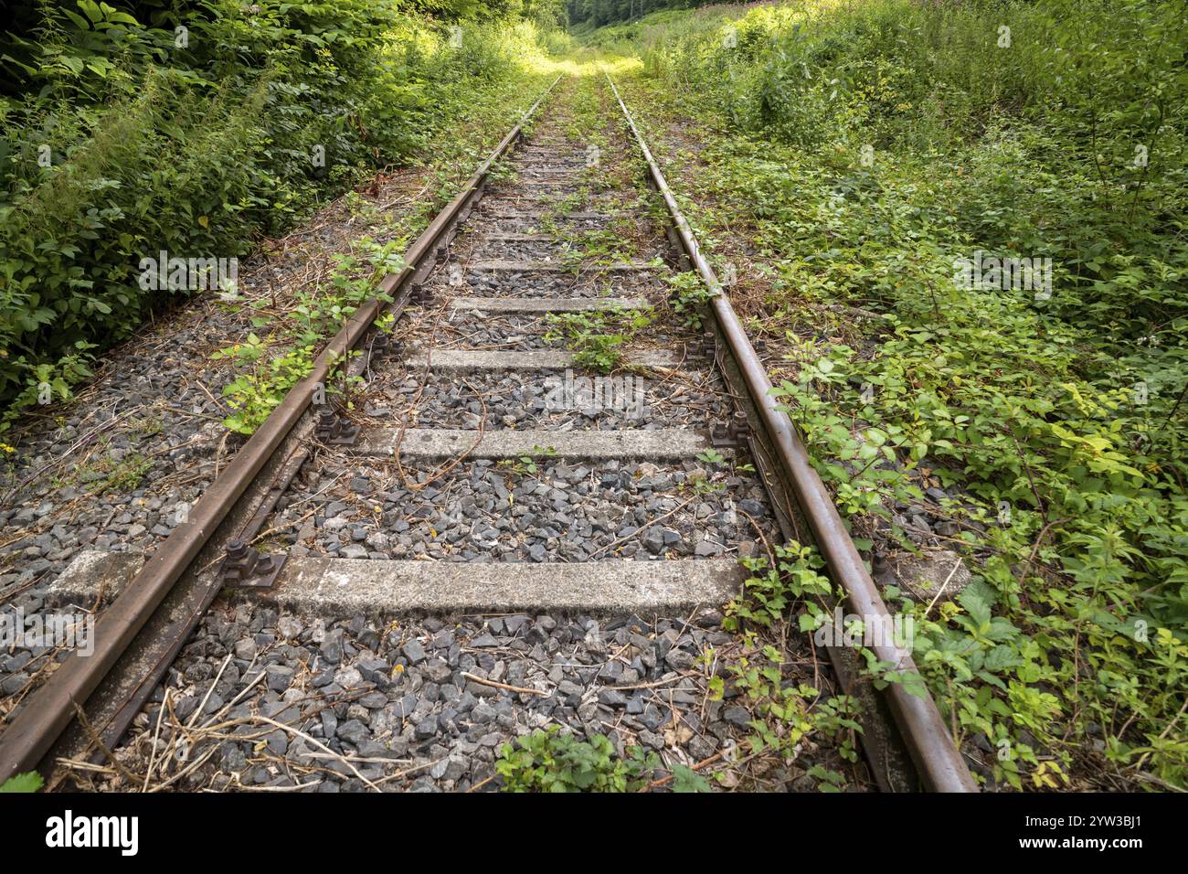 Green rails hi-res stock photography and images - Alamy