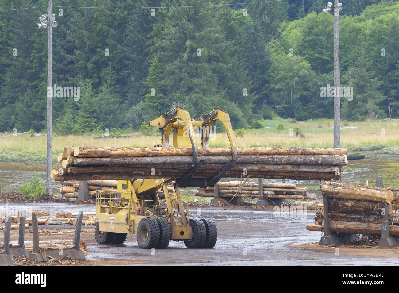 Lumber mill log storage with logging equipment, Telegraph Cove ...