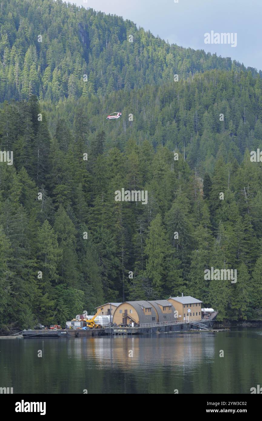 Helicopter logging hi-res stock photography and images - Alamy