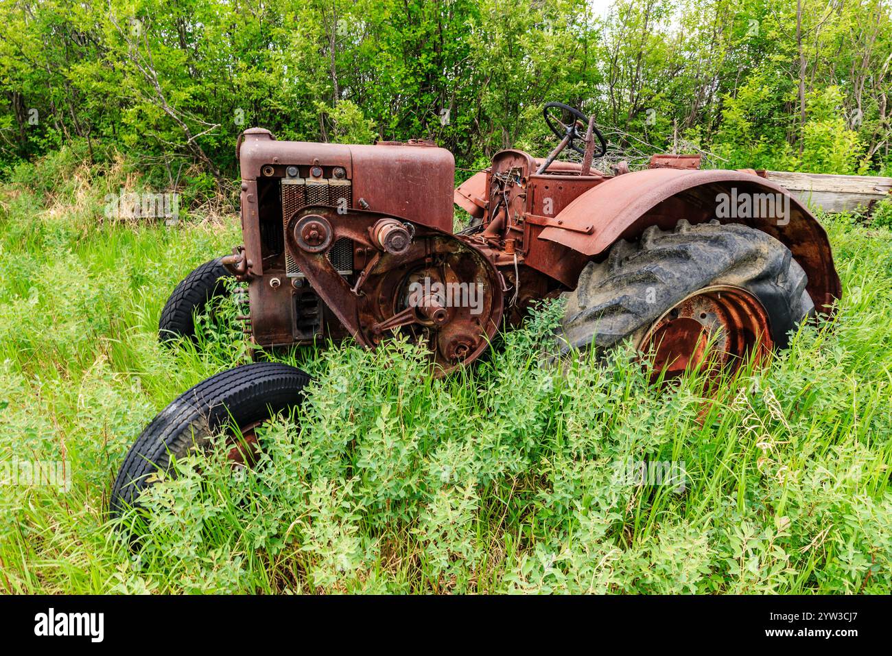 An old tractor is sitting in a field of grass. The tractor is rusted ...