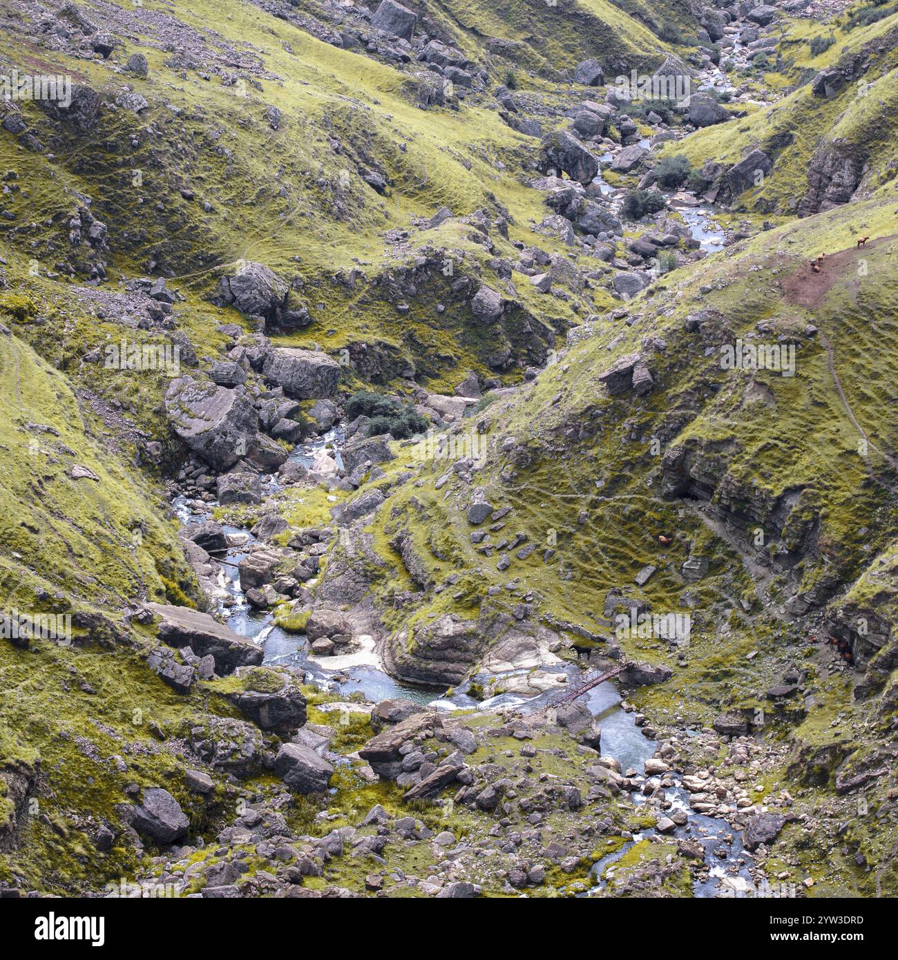An epic view of a huge mountain rift, the terrain is covered with ...