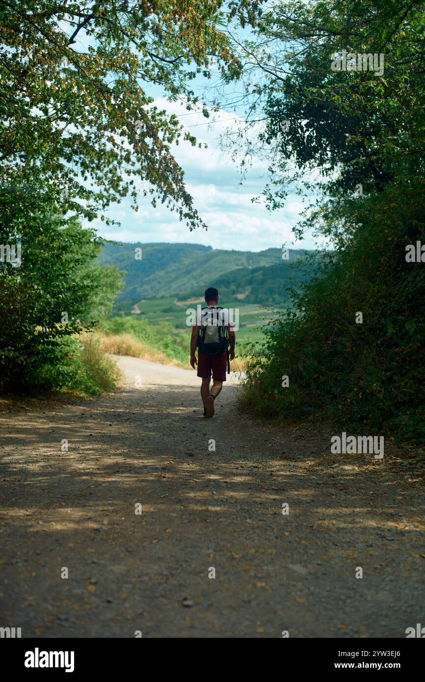 A lone hiker walks down a peaceful country road surrounded by lush ...