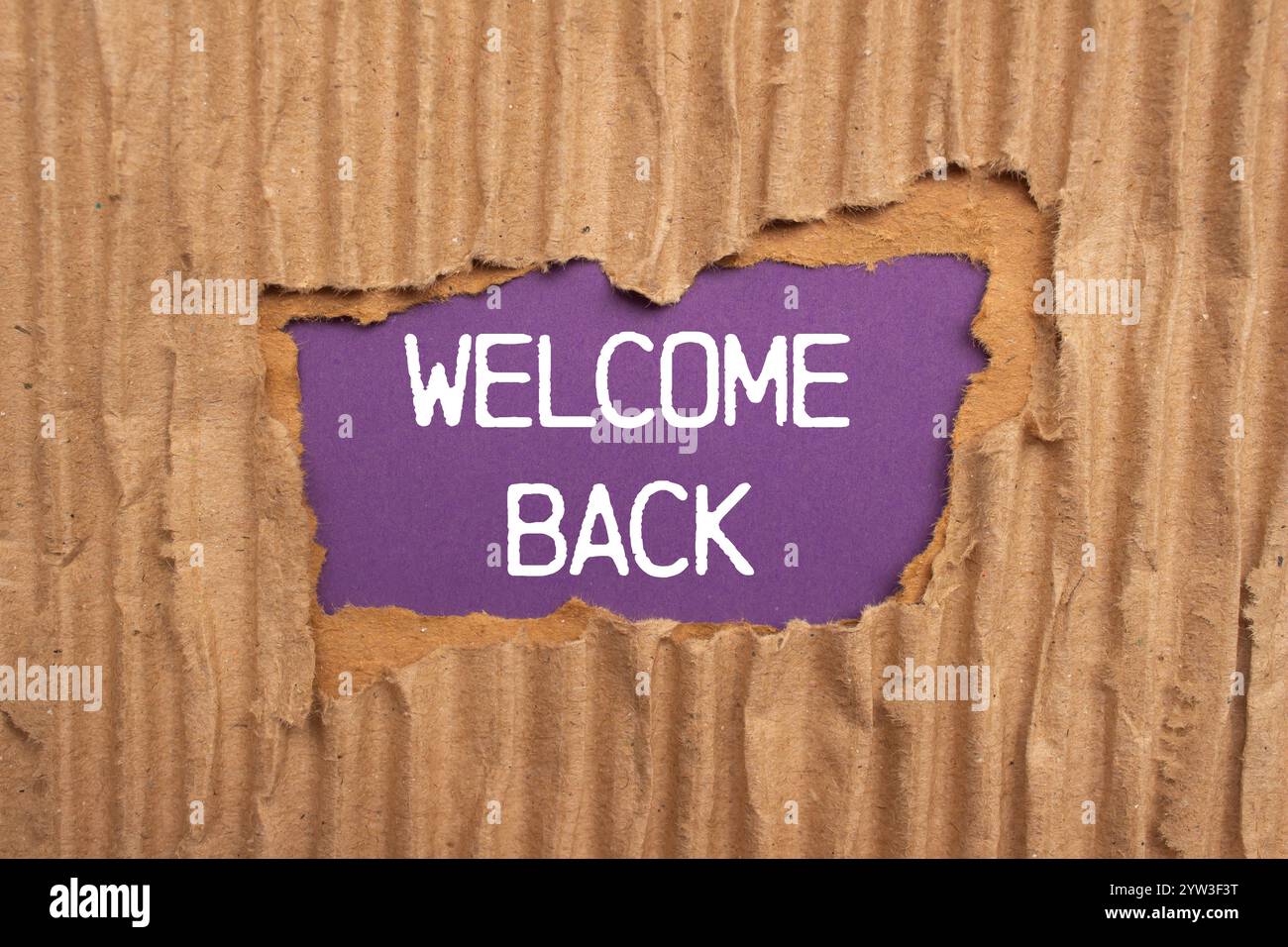 Welcome back message written on ripped torn cardboard paper with purple background. Conceptual ...