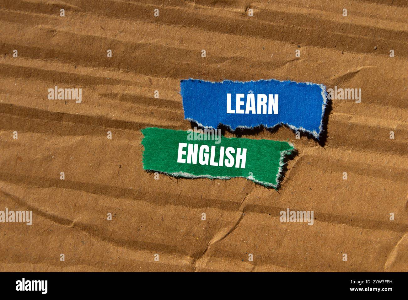 Learn english message written on ripped torn paper pieces with cardboard background. Conceptual ...