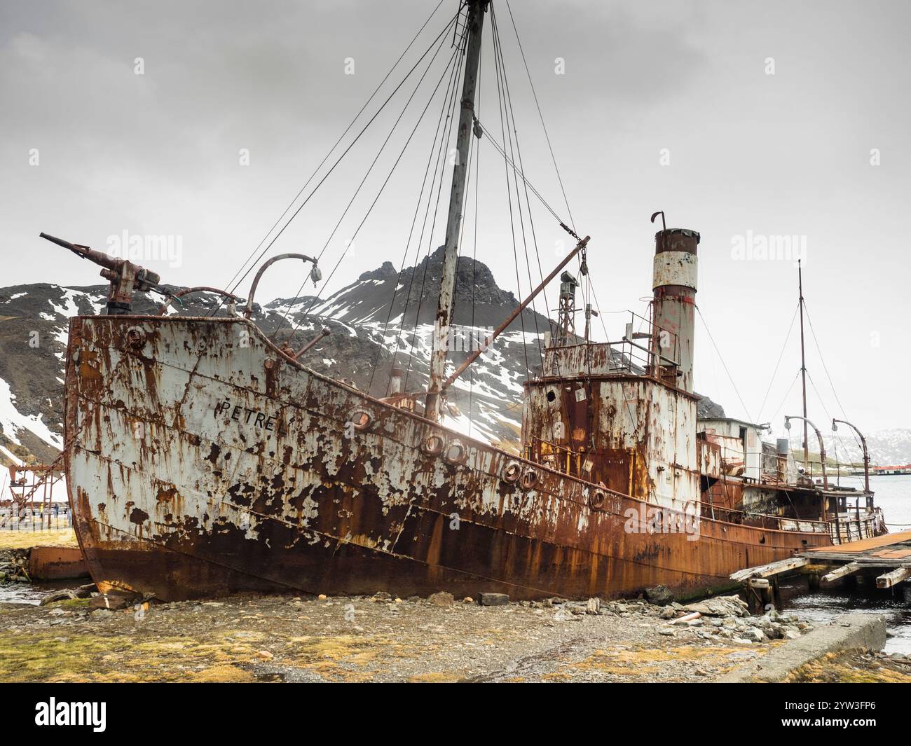 Wreck of the sealer Petrel, Grytviken, South Georgia Stock Photo - Alamy