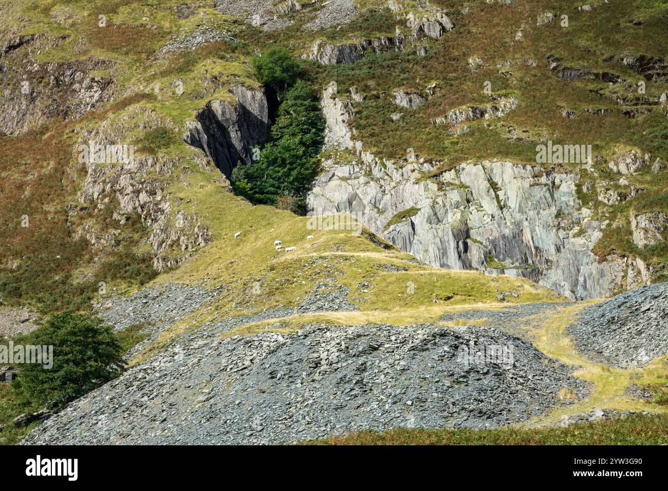 Beautiful scenery in the Kentmere valley north of Kendal in the Lake ...