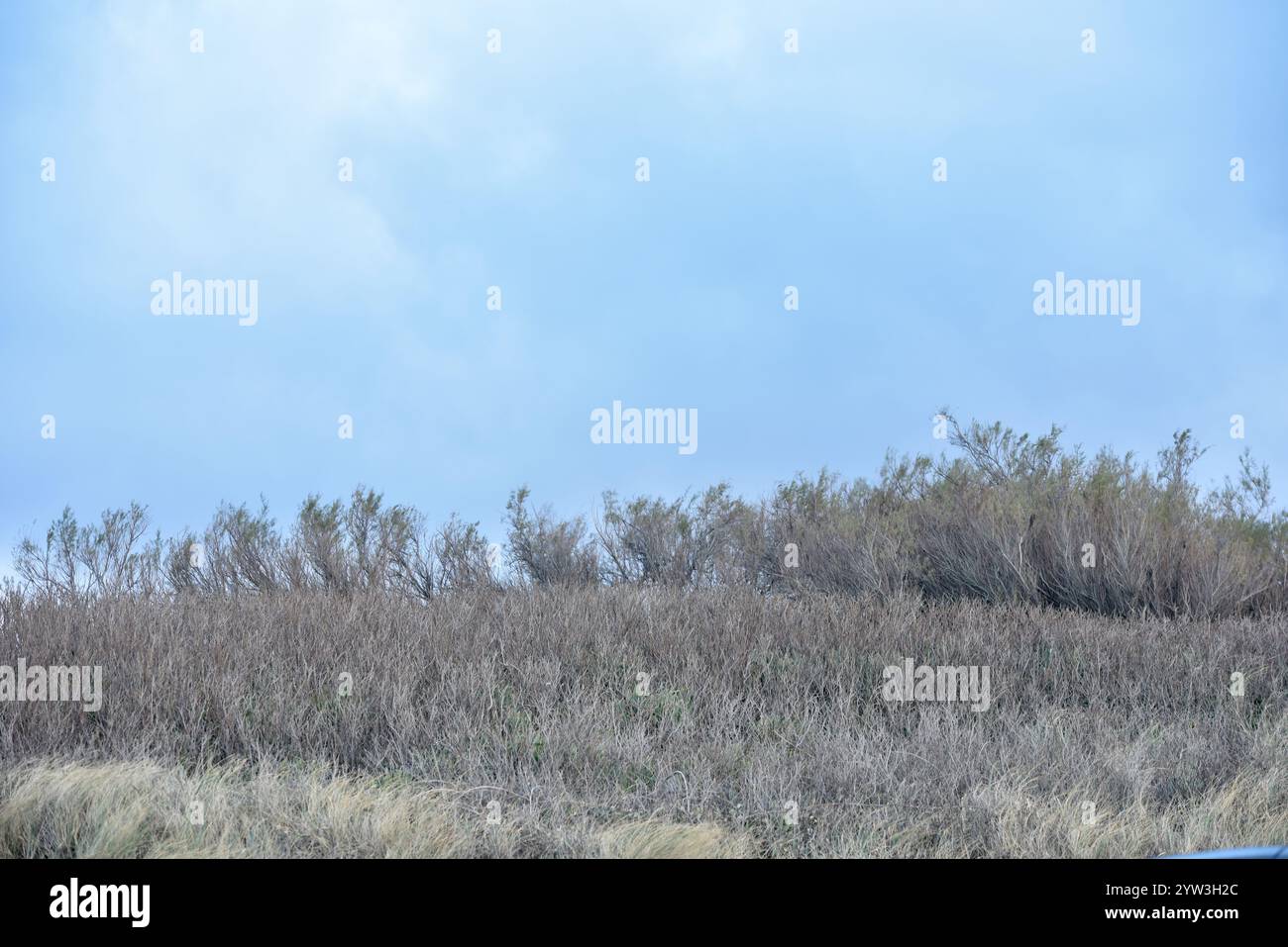 Stormsincornwall hi-res stock photography and images - Alamy
