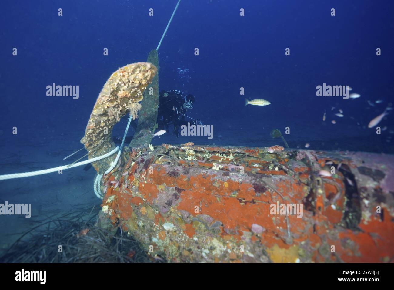 A diver examines an aircraft wreck from the Second World War deep in ...