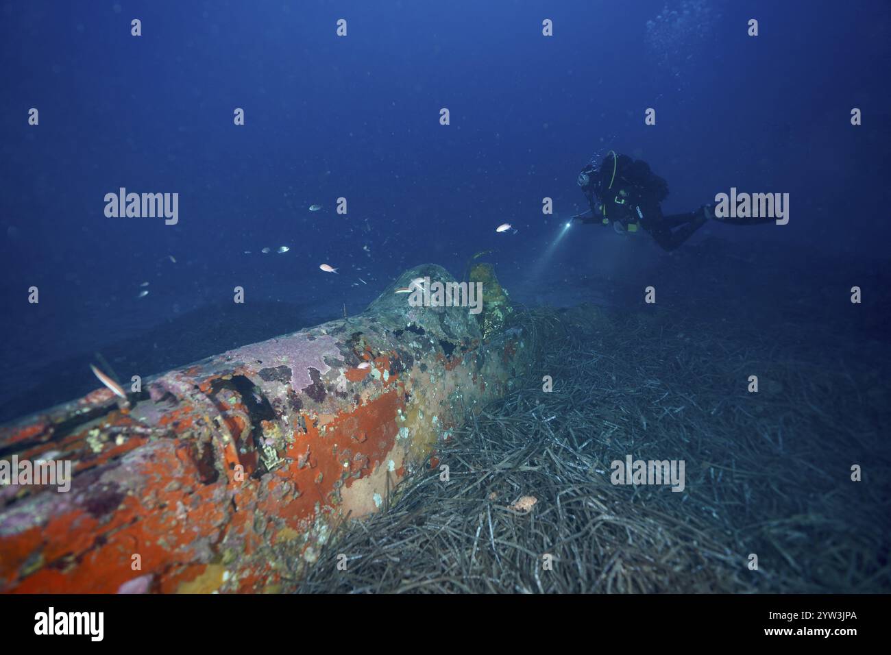 Diver exploring the cockpit of an aircraft wreck on the seabed ...