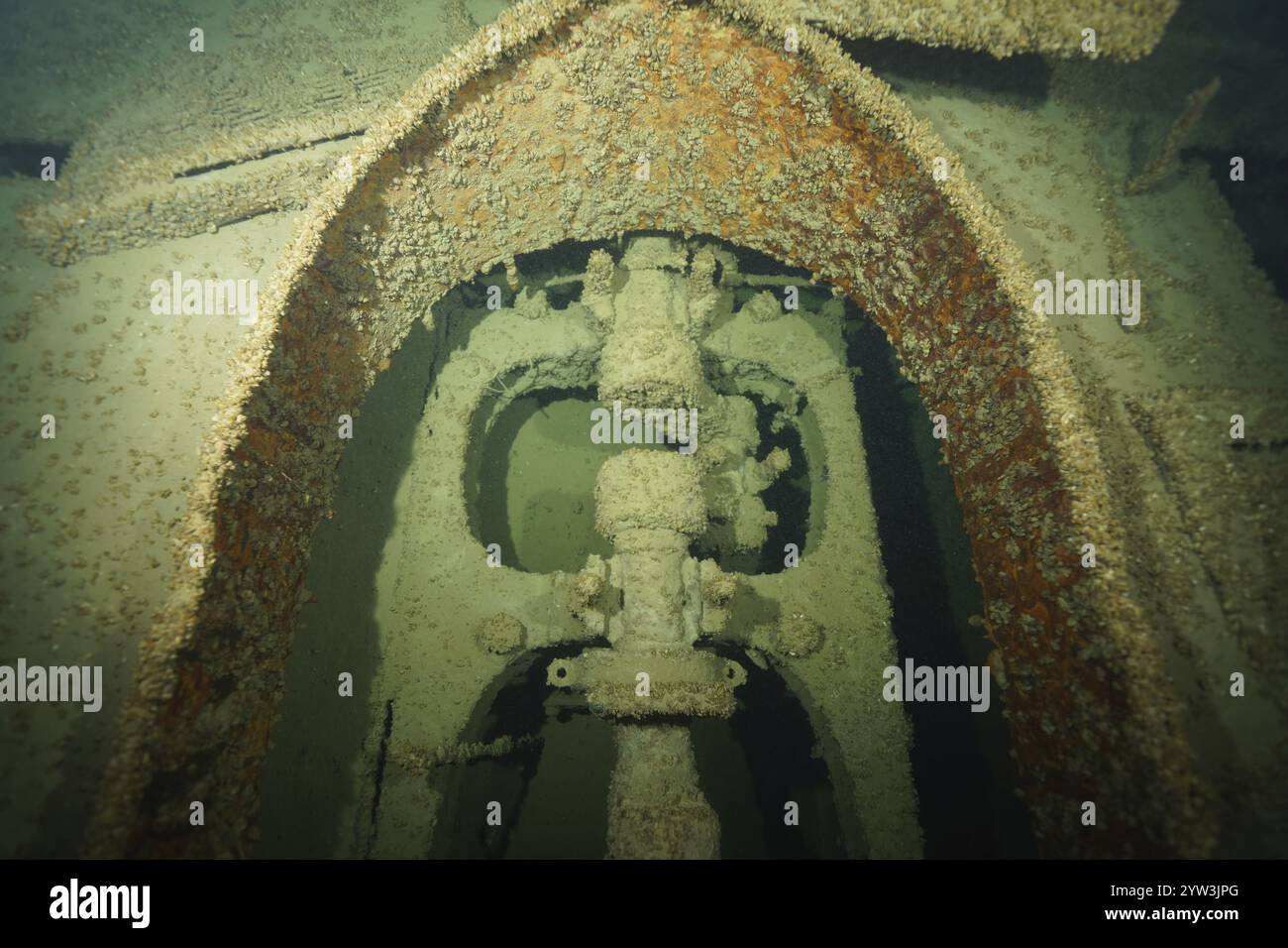 Rusty machine structure of a ship with mussels, quagga triangle mussel ...