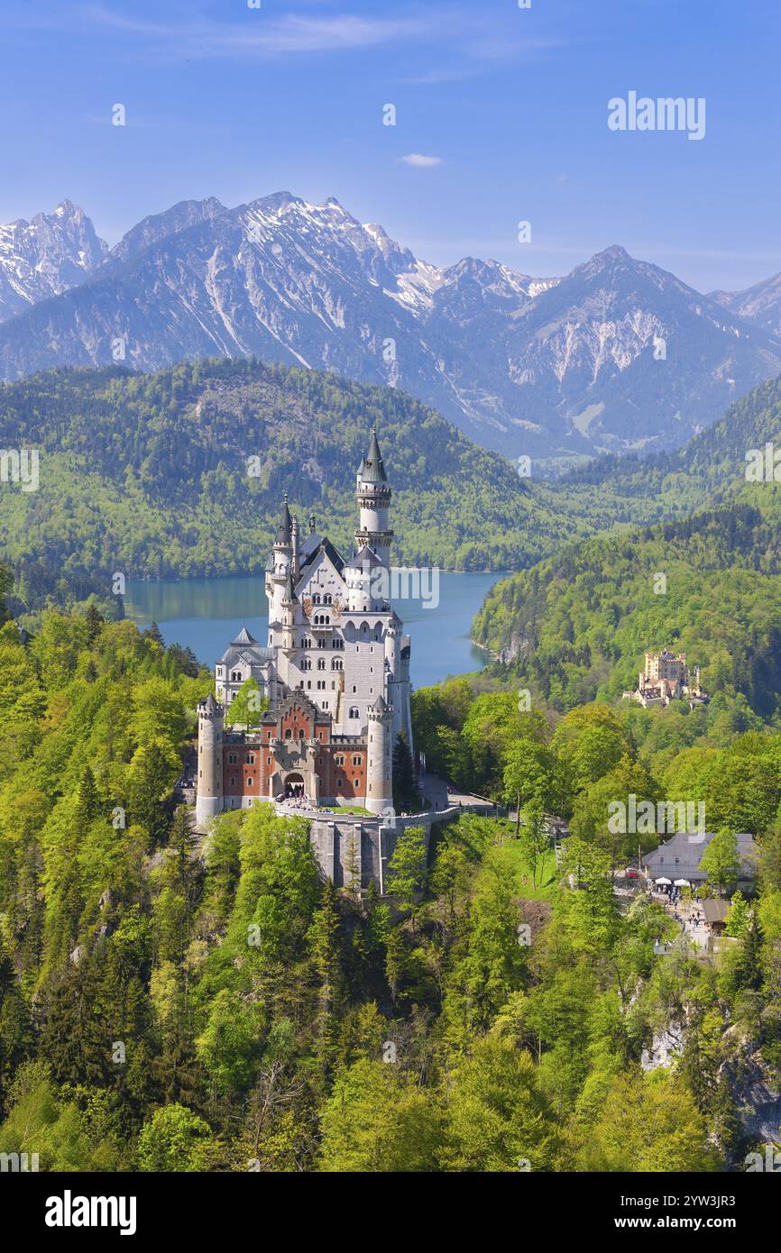 Neuschwanstein Castle with lake and mountains, surrounded by lush ...