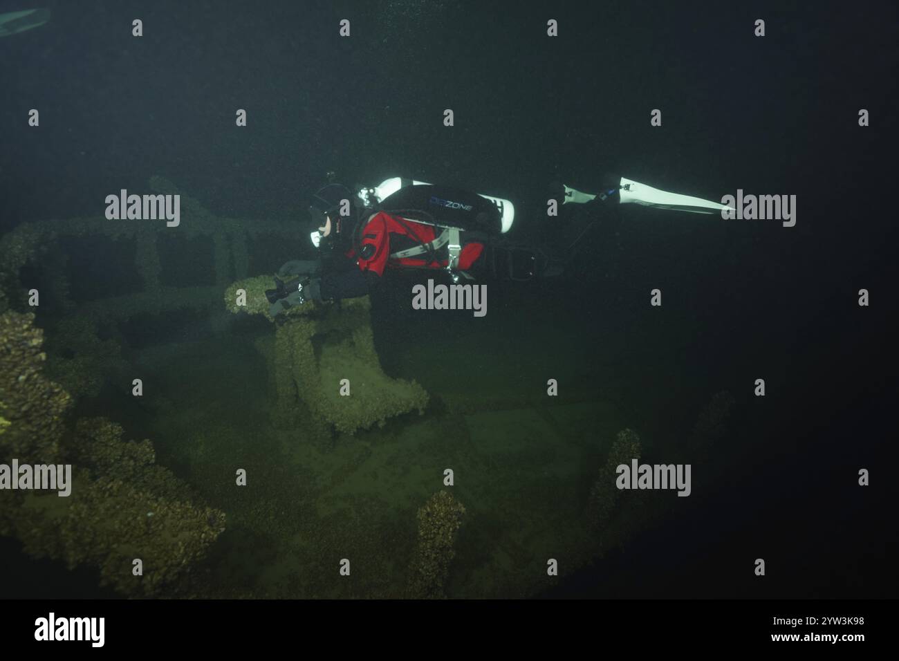 A diver examines the remains of a shipwreck overgrown with mussels ...