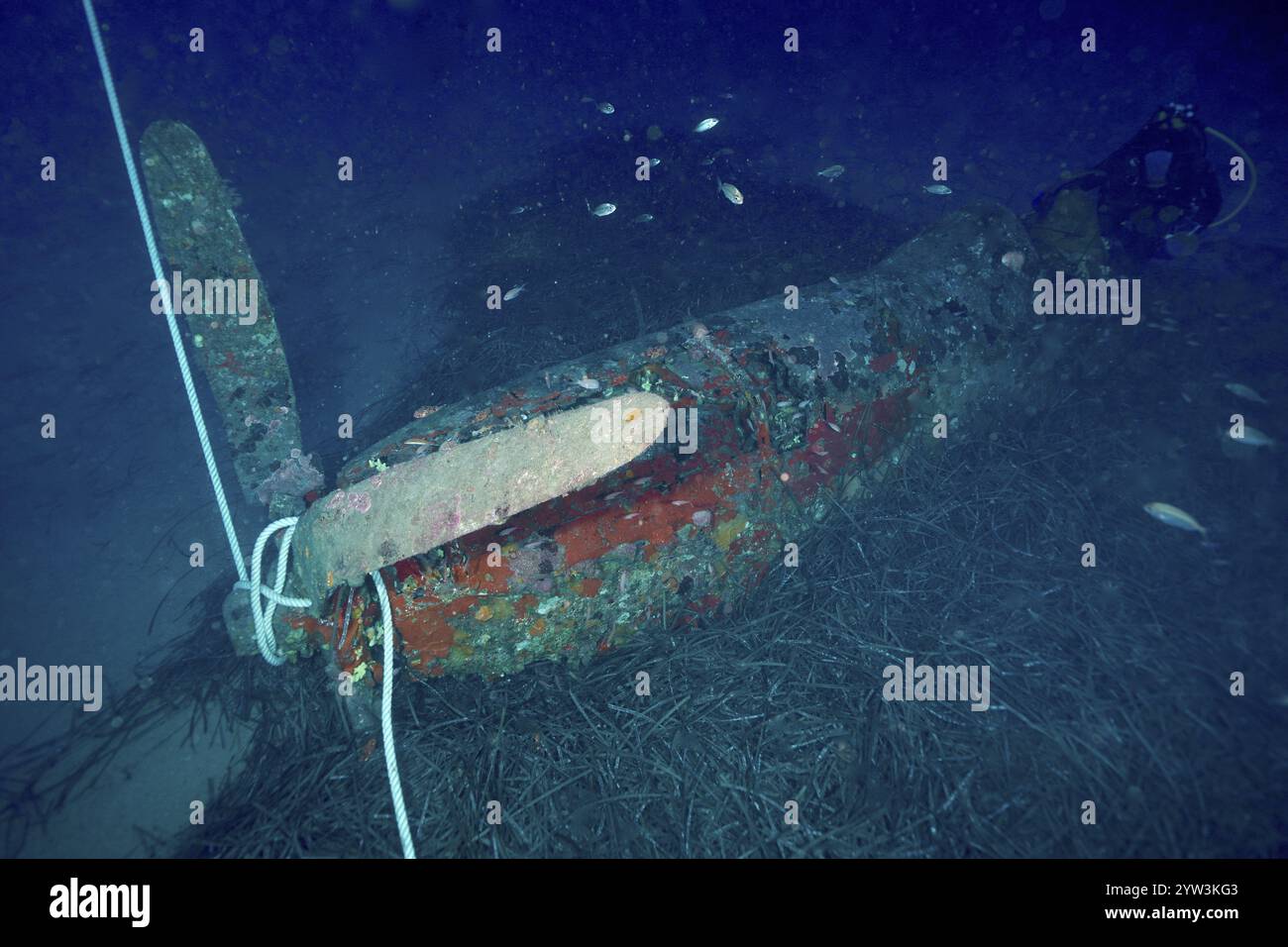 World War II aircraft wreck in deep blue underwater, dive site aircraft ...