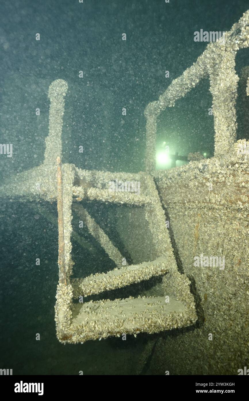 The weathered ladder of a shipwreck is covered underwater with mussels ...