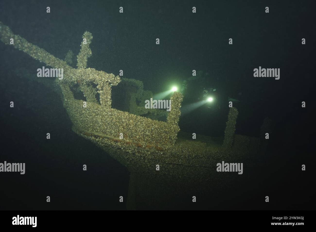 Divers with torches examine an old shipwreck overgrown with mussels ...