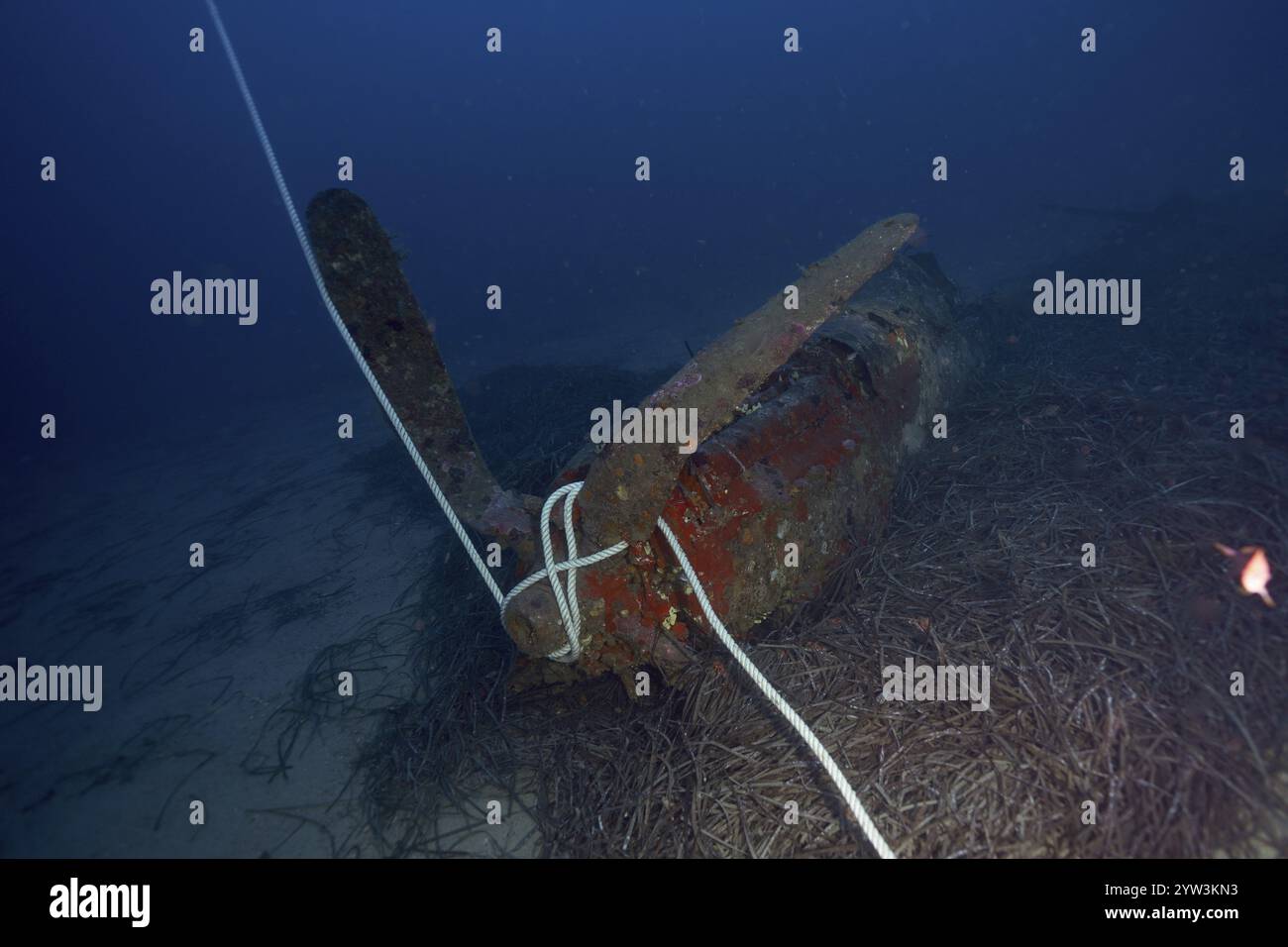 Rusty propeller of an aircraft wreck on the seabed with ropes and ...