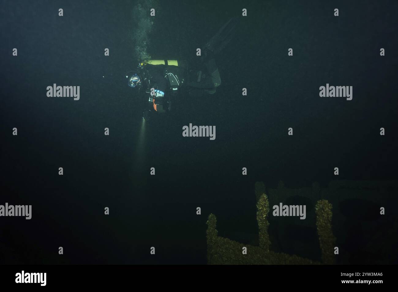 Diver in the dark over a shipwreck covered with mussels, quagga ...
