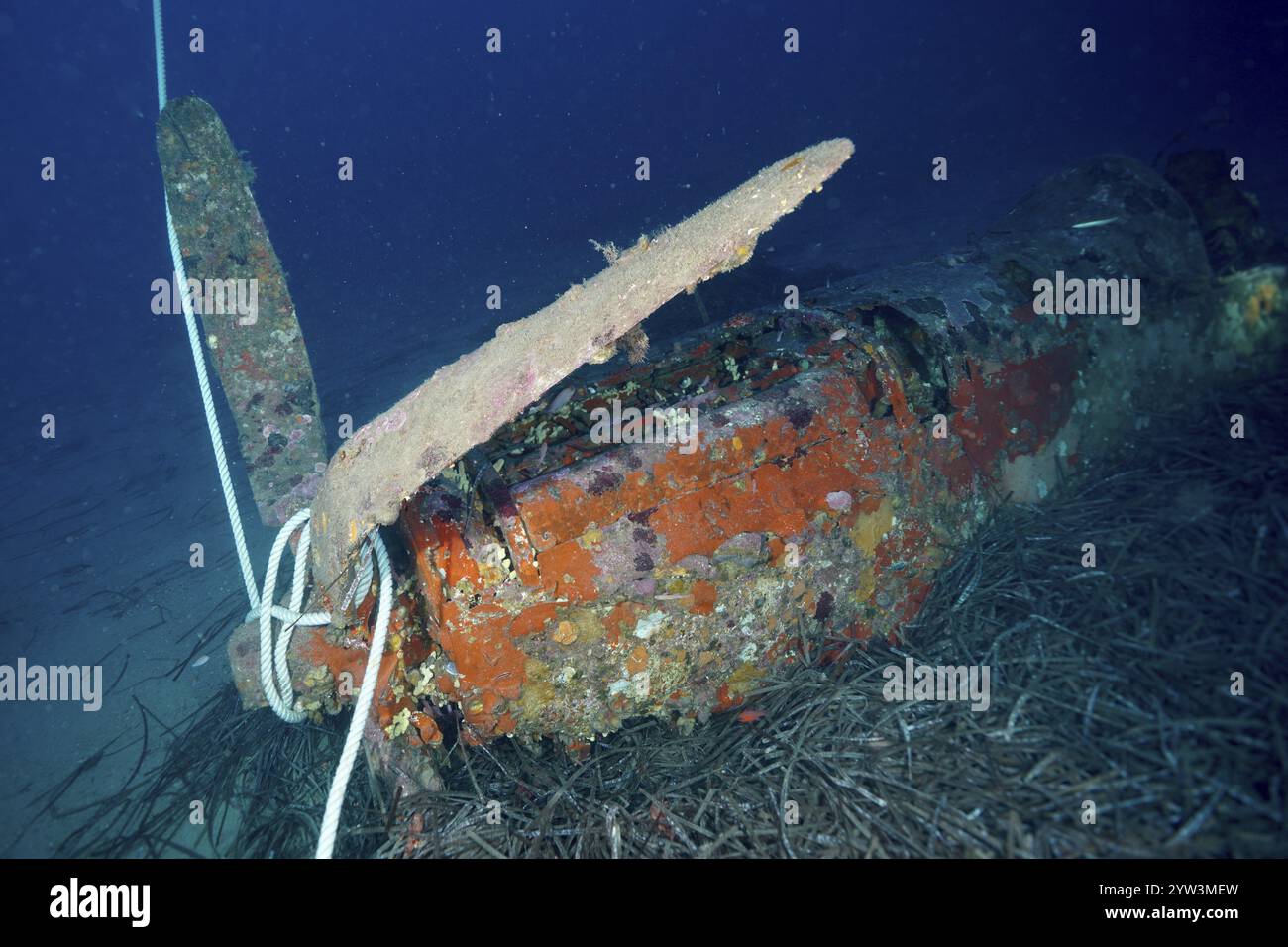 Close-up of a rusty propeller of an aircraft wreck under water with ...