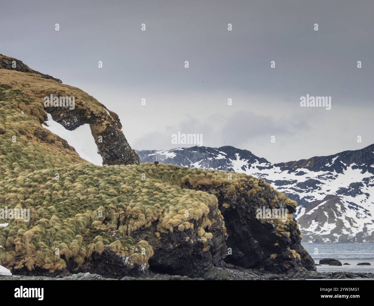 Shackleton Memorial Cross, Hope Point, Grytviken, South Georgia Stock ...