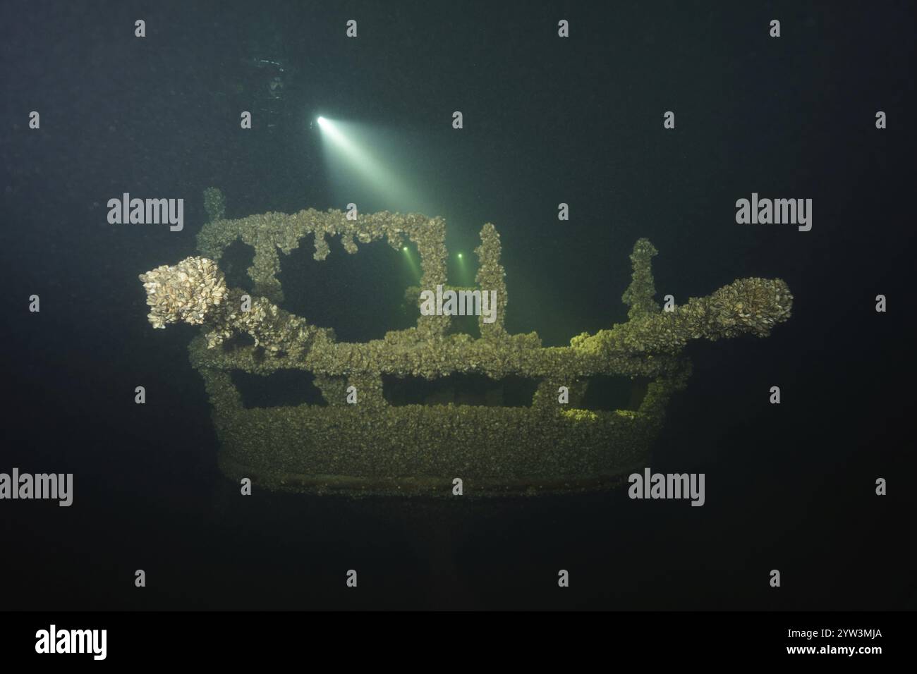 Underwater image of a shipwreck covered by mussels, Quagga triangle ...