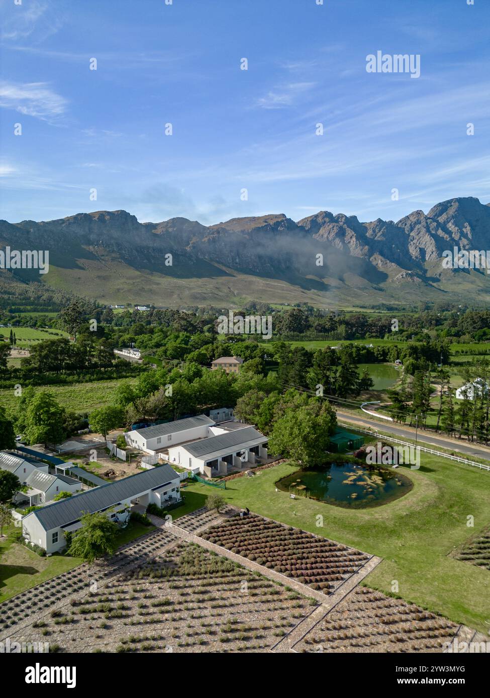 Tranquil countryside scene, lush greenery, agricultural fields, serene ...