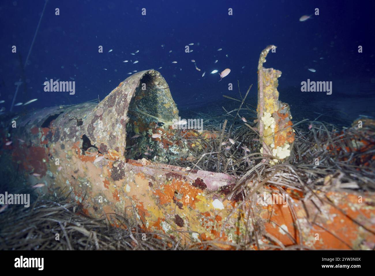 Dilapidated cockpit of an aircraft wreck under water surrounded by ...