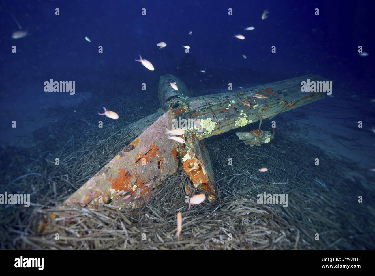 Underwater image of a rusty aircraft wreck, surrounded by fish and ...