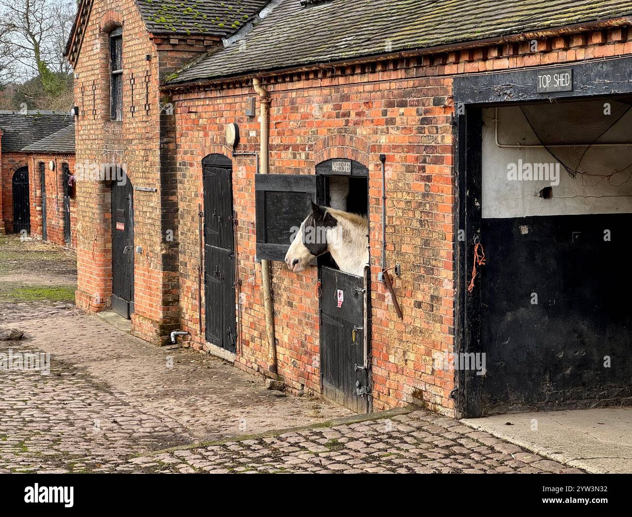 Typical cobbled farm yard with a horse in the stable at Elvaston Castle ...