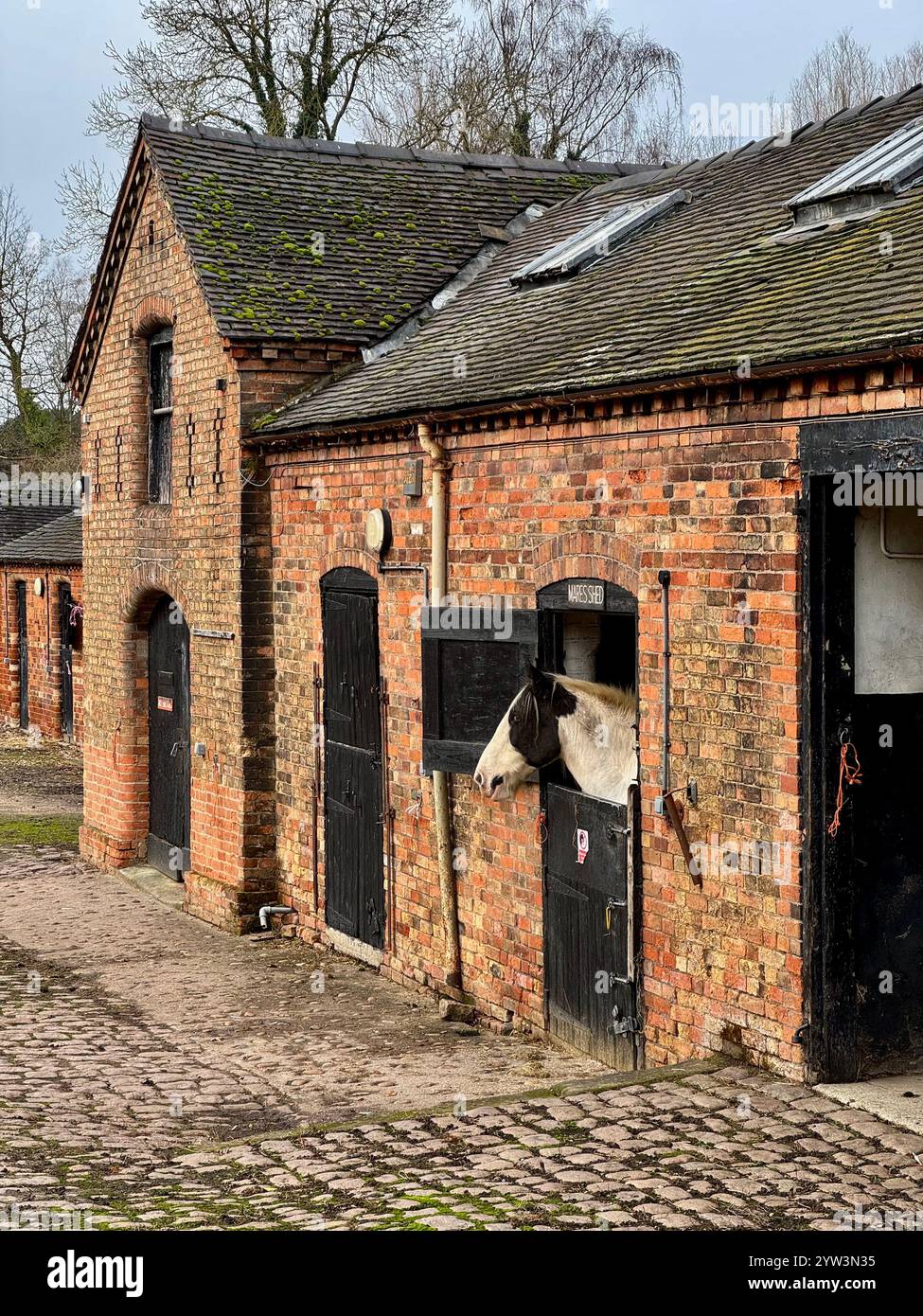 Castle horse stable hi-res stock photography and images - Alamy