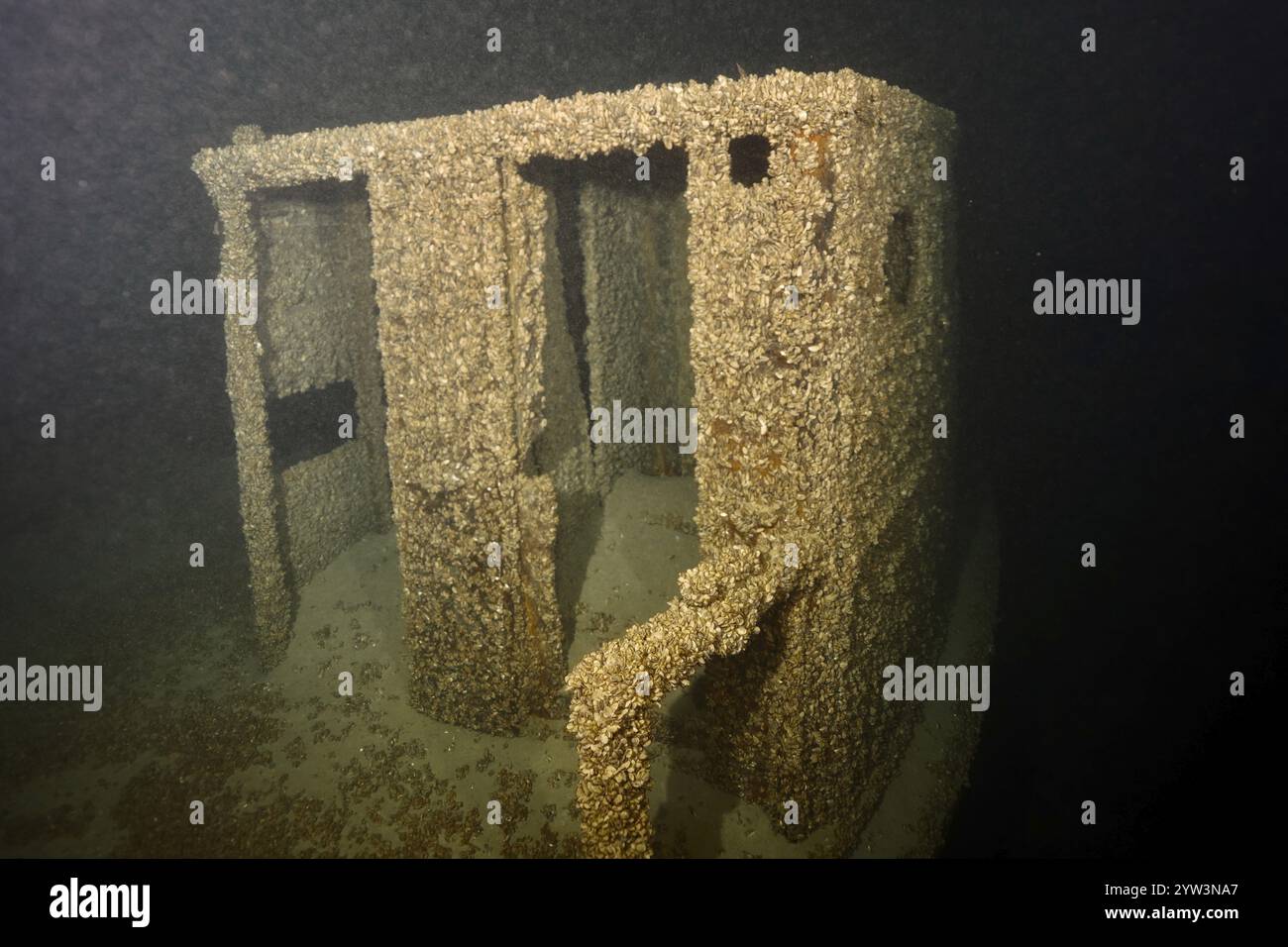 The driver's cabin of a submerged shipwreck is covered with mussels ...