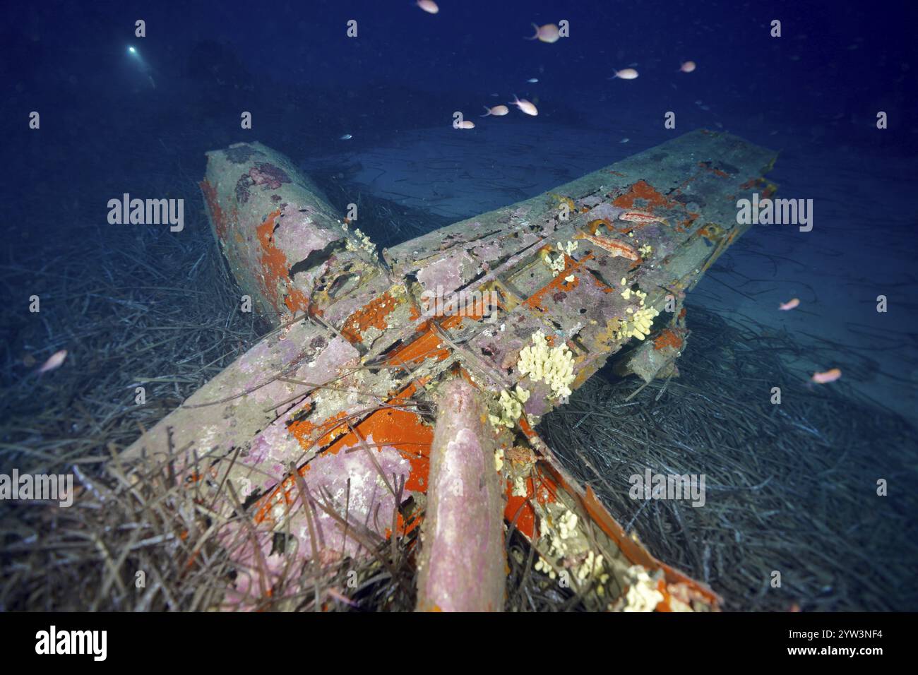 Rusty aircraft wreck under water with fish swimming around and seagrass ...
