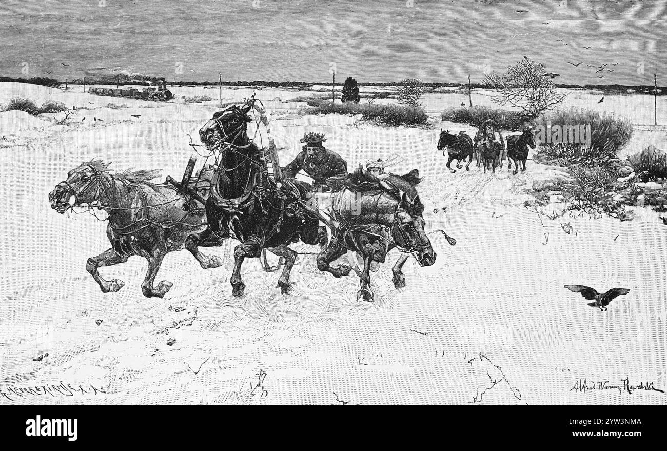 Winter sleigh ride in a rural idyll, frost, snow, cold, pleasure, three ...