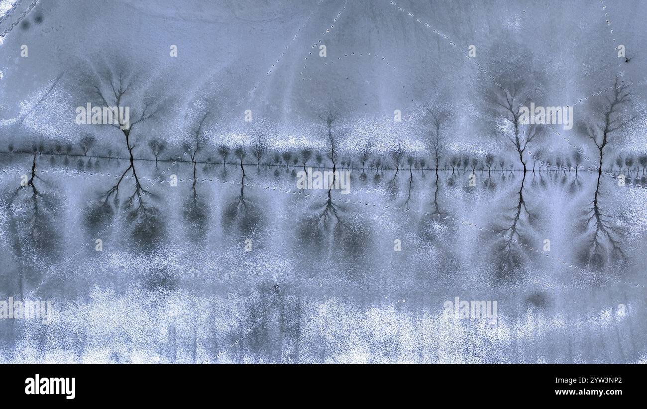 Aerial view, lake landscape, reed bed, flooded area, biotope, habitat ...