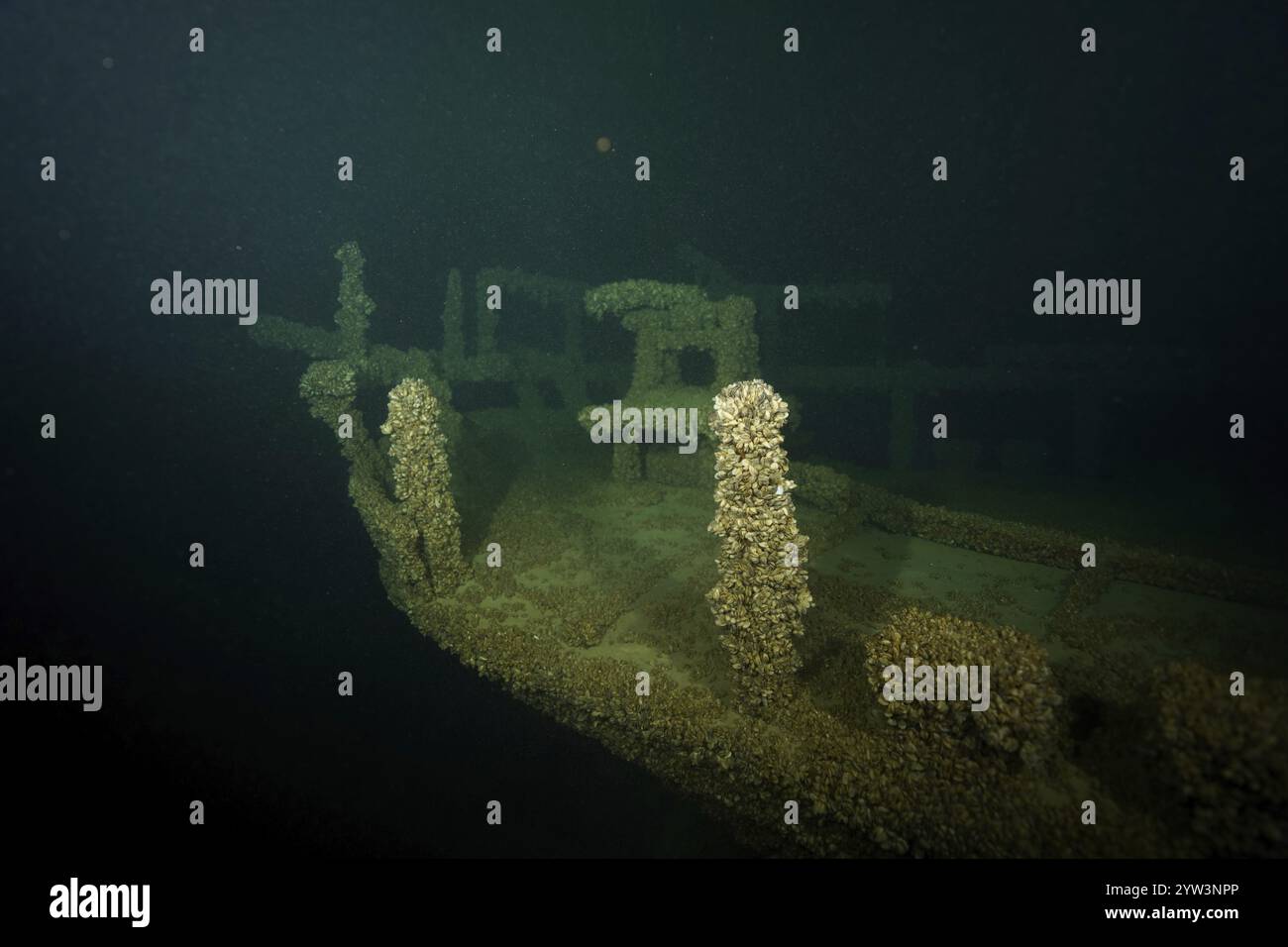 Dark underwater image of an abandoned shipwreck, covered with mussels ...