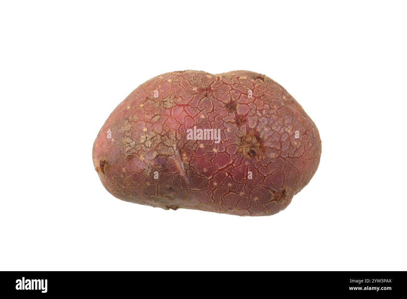 Variety of detailed Cut Out Stock Images & Pictures - Alamy